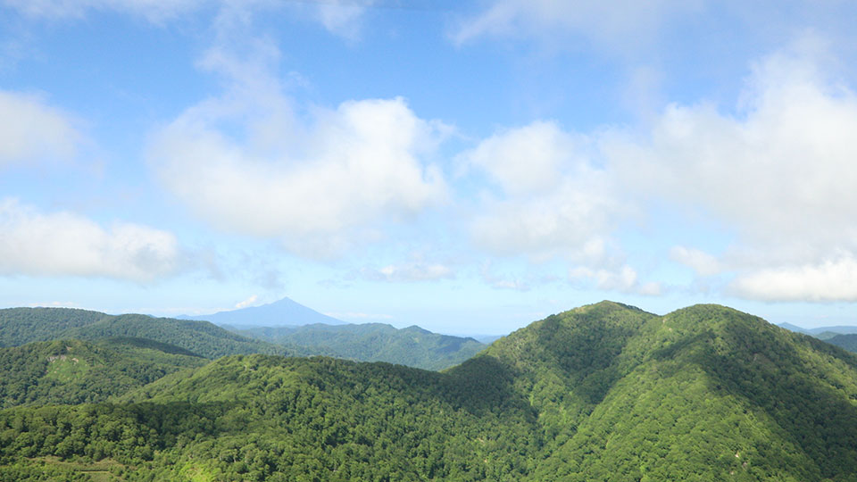 「白神山地 〜 白神山地の1年！春夏秋冬の絶景」ギャラリー｜TBSテレビ：世界遺産